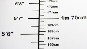 Height Converter – Convert cm, feet & inches instantly