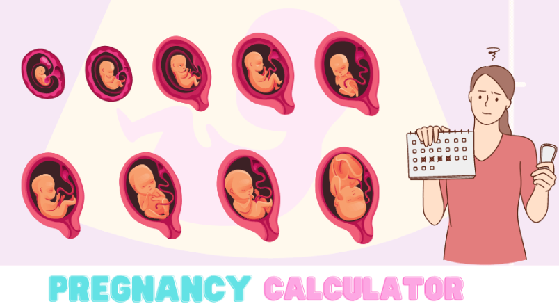 Pregnancy Due Date Calculator – Estimate Your Baby’s Arrival